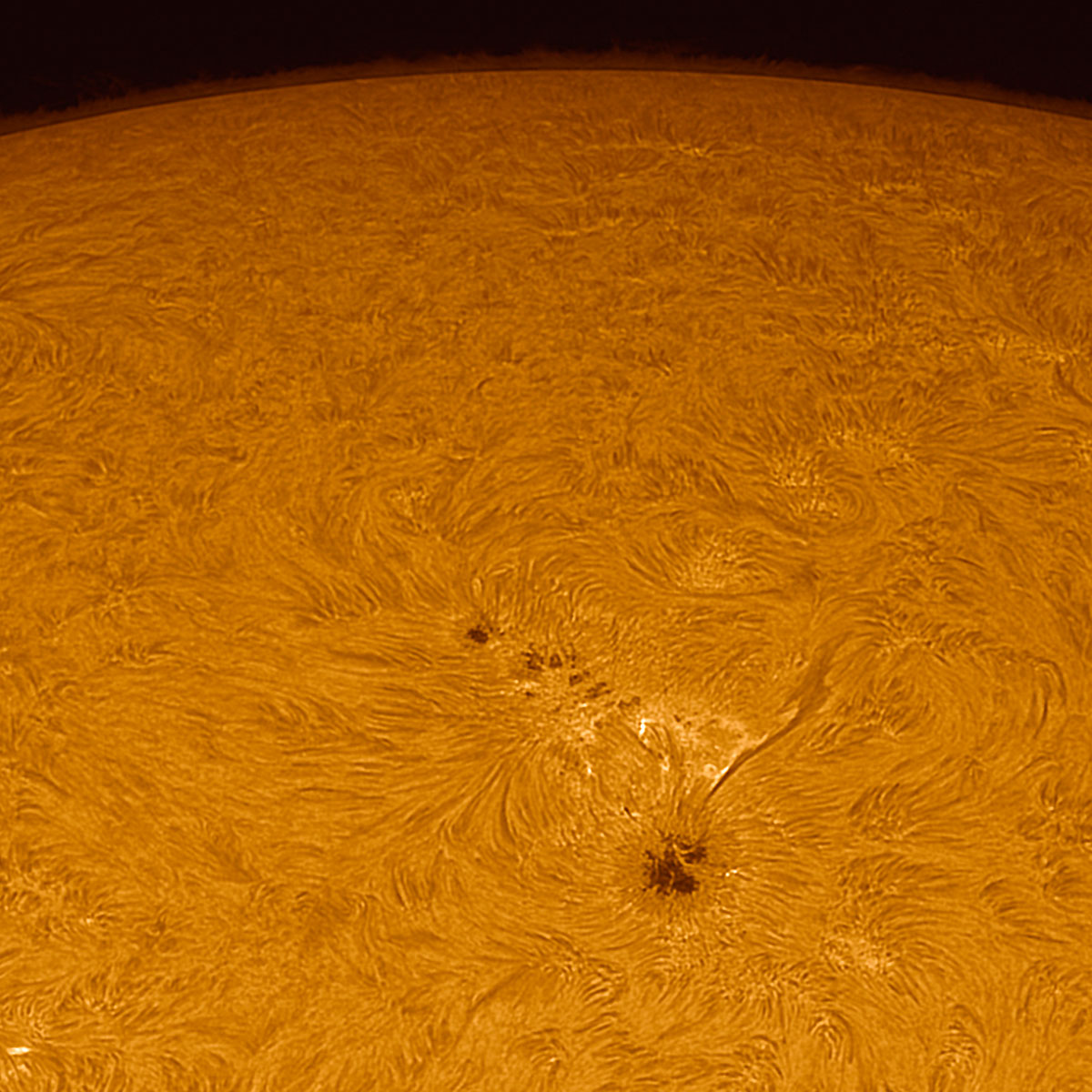 Solar Imaging Experience - Perfect Gift! | First Light Optics